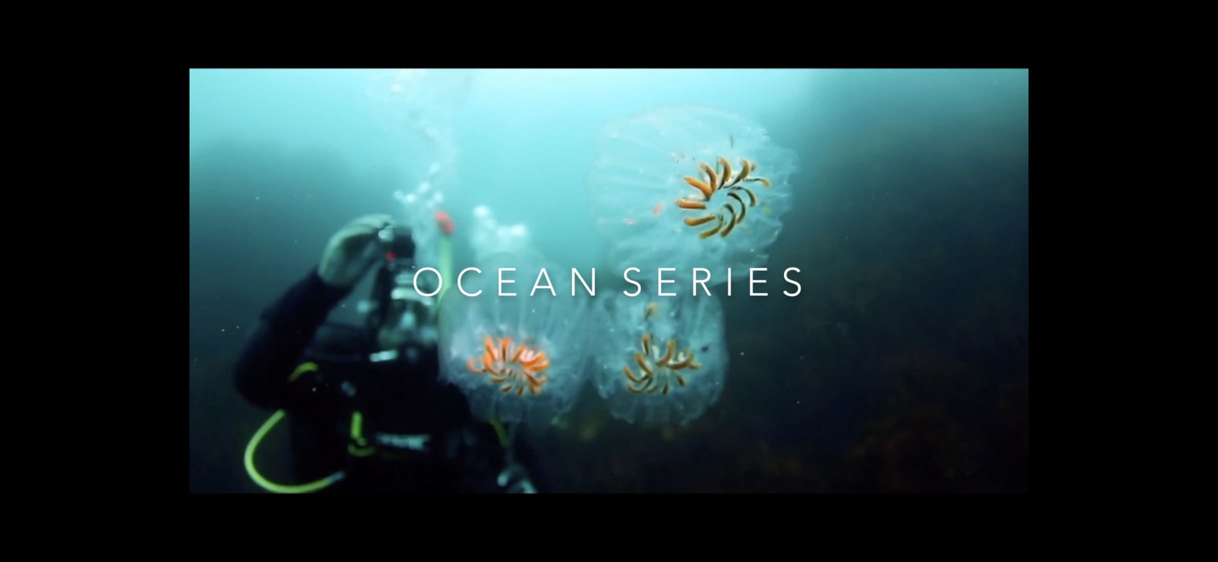 OCEAN SERIES EXHIBITION PREMIERE – GLOW SKY MEDIA™
